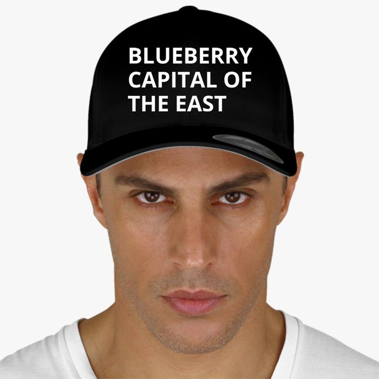 Blueberry Capital of the East Baseball Cap - Kidozi | Kidozi